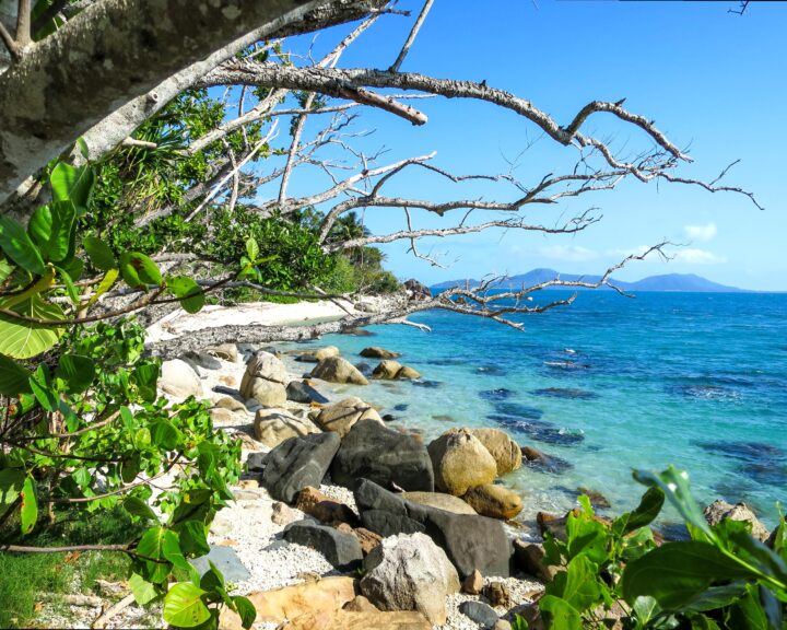 Explore the Wonders of Australia – Your Ultimate Travel Guide